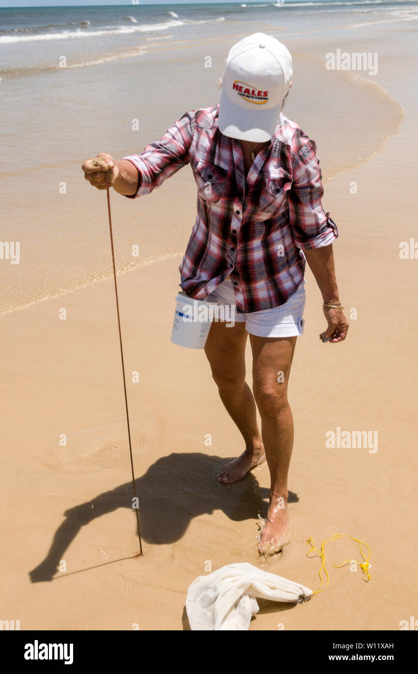 A woman pulls up a sea worm which is used as fishing bait, along the 75 ...