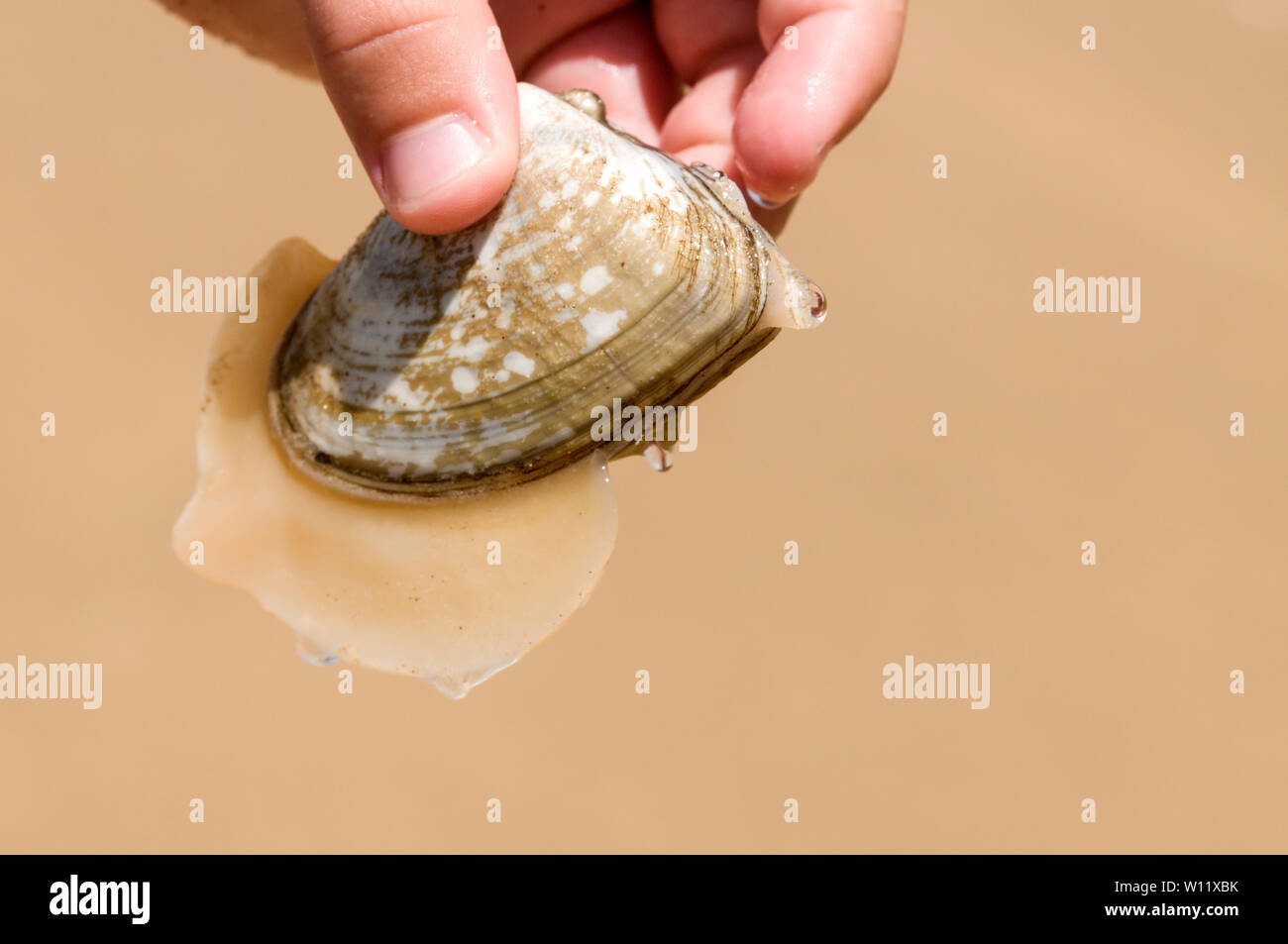 Australian fishing hi-res stock photography and images - Alamy
