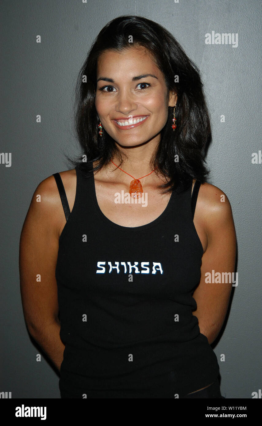 Brooke Lee at the Black Eyed Peas "The APL Song" Industry Premiere ...