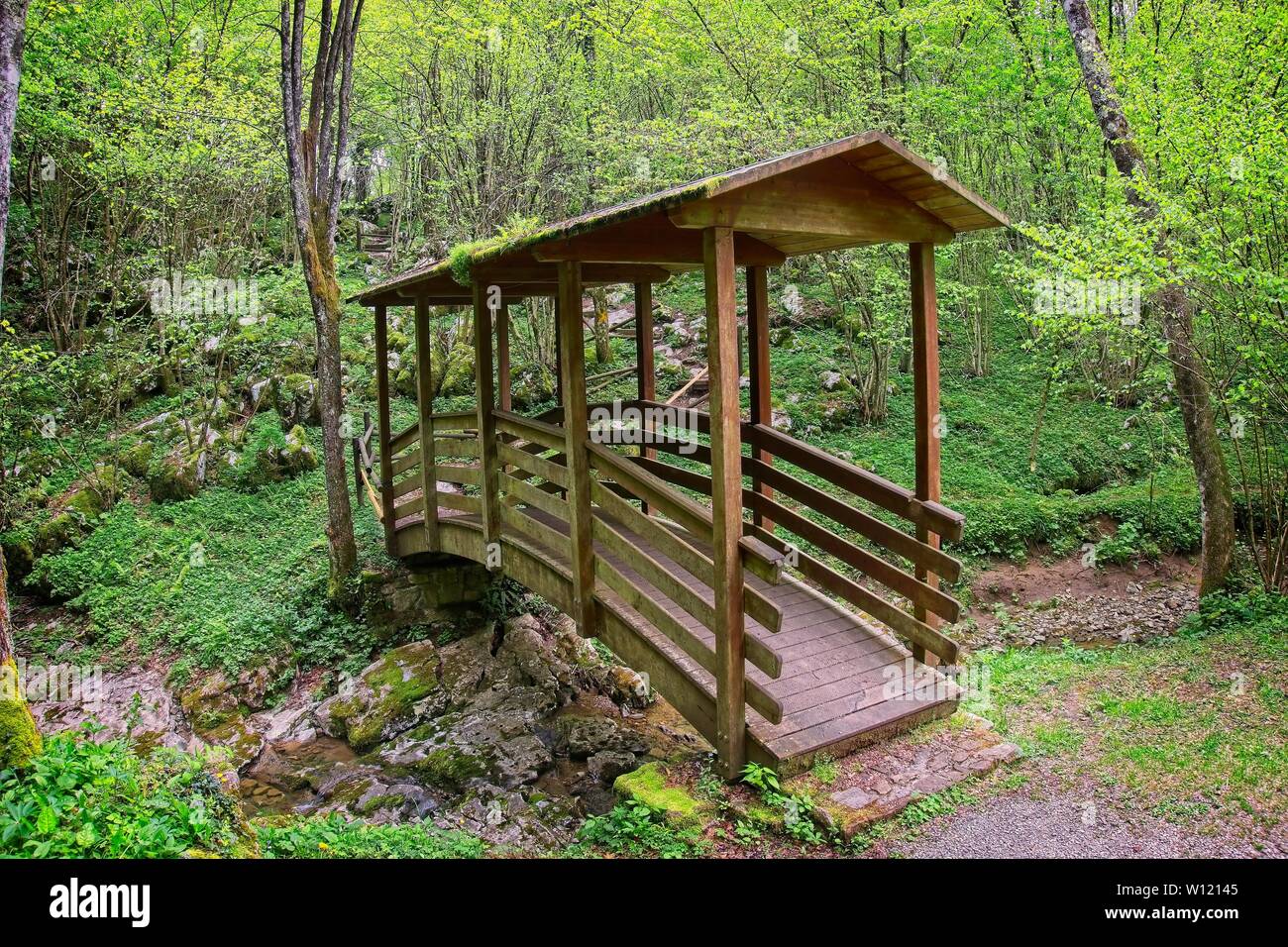 Foot Bridge on Trail Stock Photo - Alamy