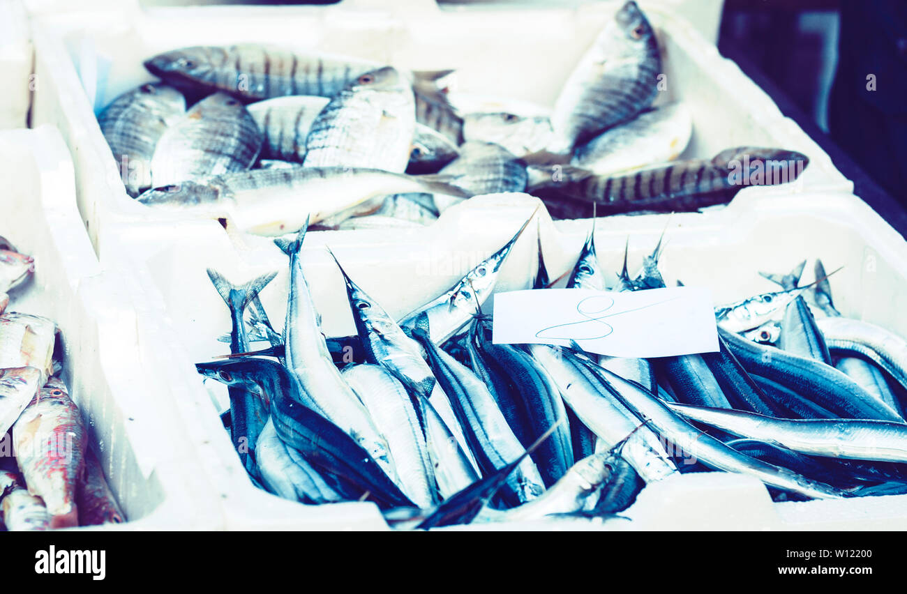 Fresh fish for sale in the fish market Pescheria of Catania, Sicily ...