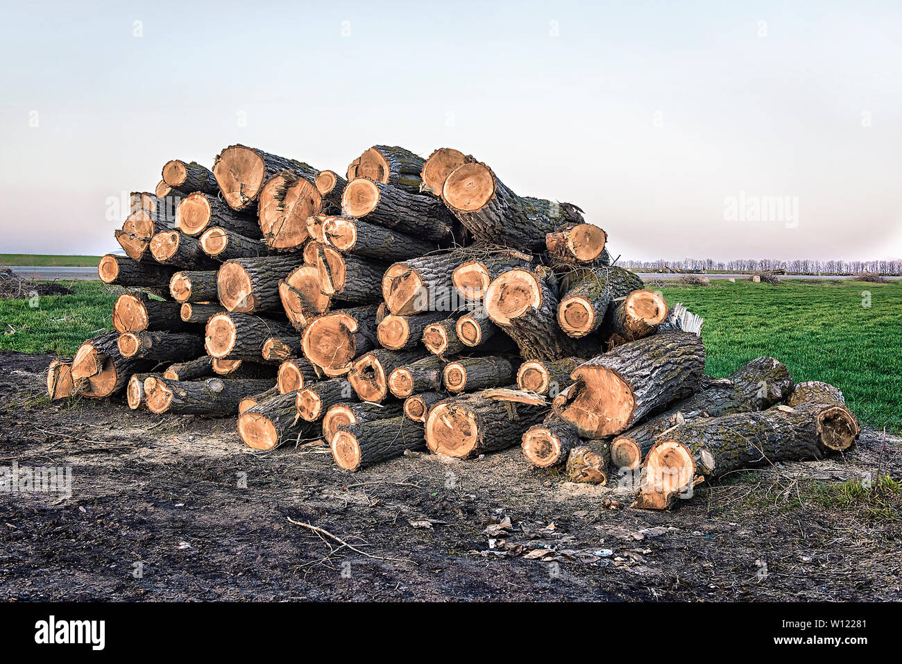 Big pile of logs hi-res stock photography and images - Alamy