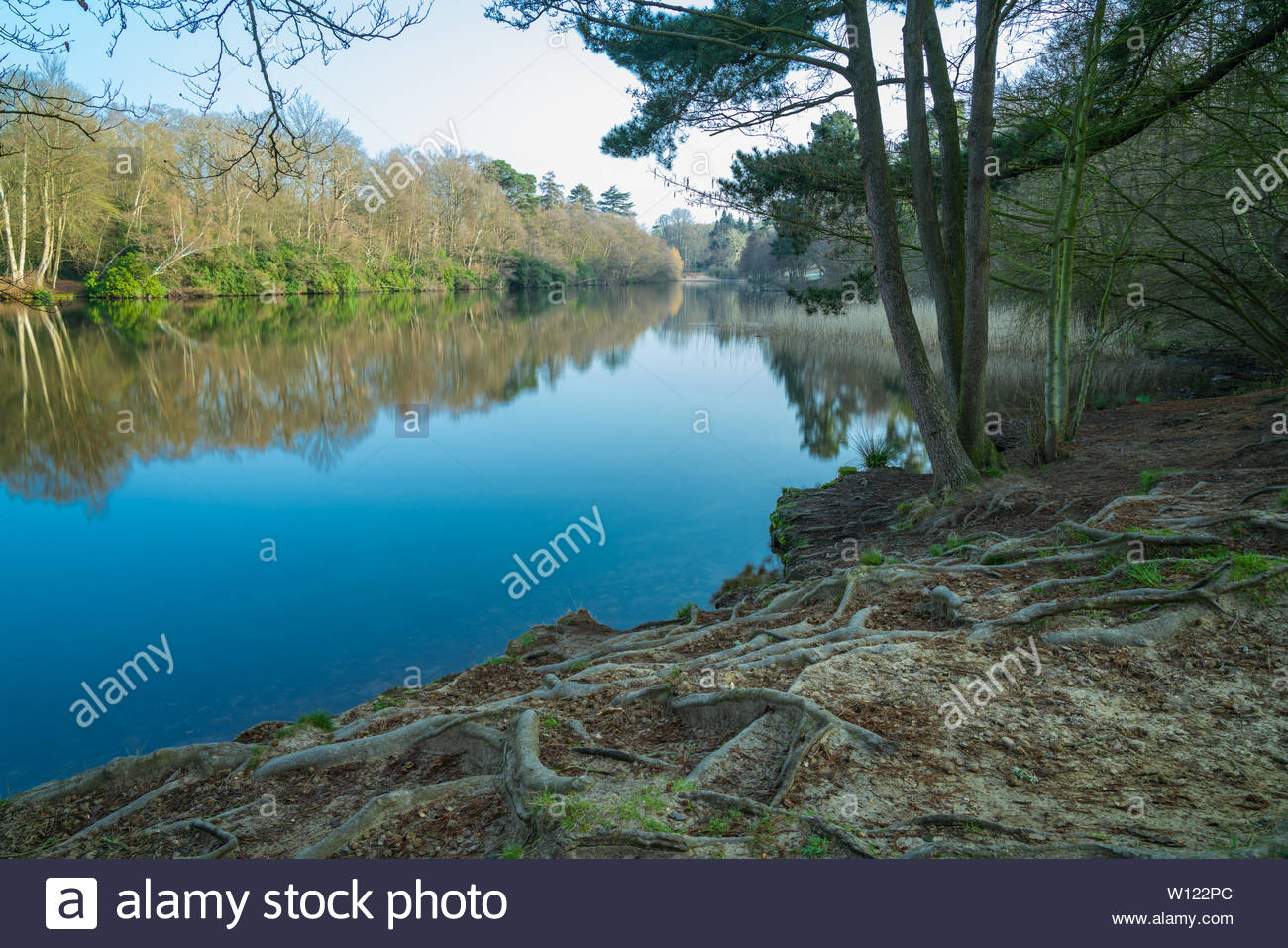 Virginia Water Berkshire Stock Photos & Virginia Water Berkshire Stock ...