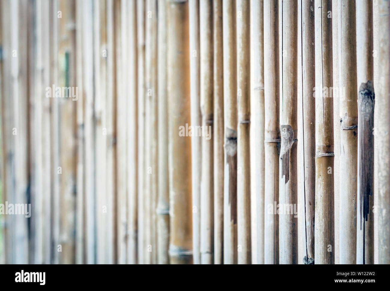 Bamboo background texture with copy space for text Stock Photo - Alamy