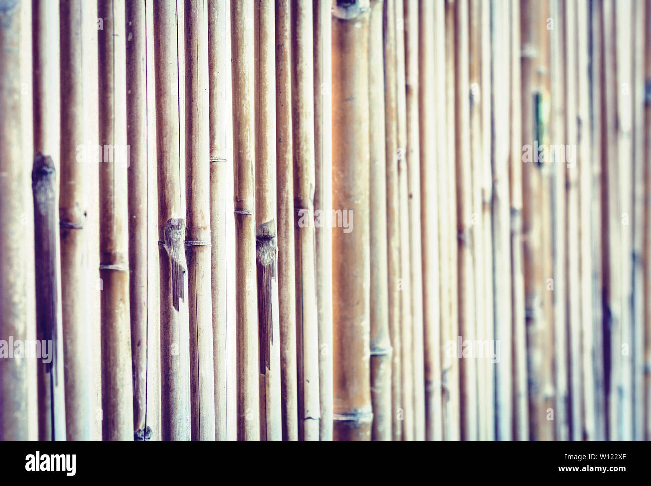 Bamboo background texture with copy space for text Stock Photo - Alamy