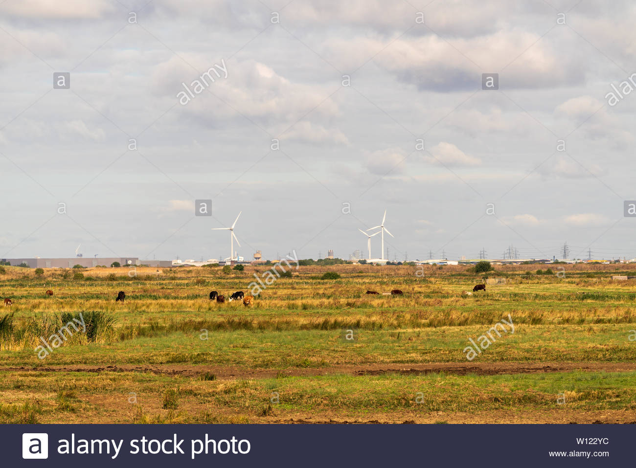 Purfleet Thames High Resolution Stock Photography and Images - Alamy