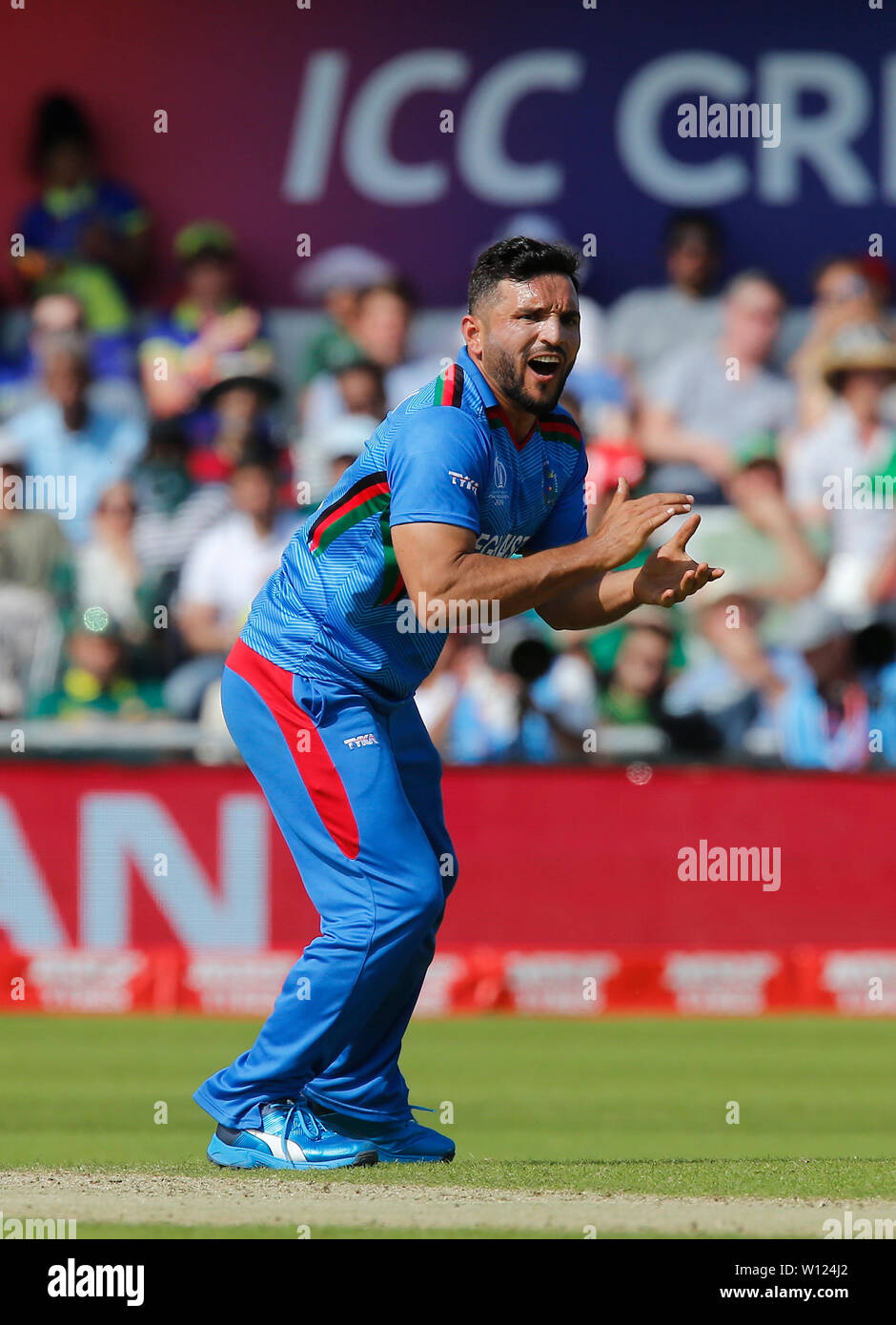 Afghanistan captain gulbadin naib hi-res stock photography and images ...