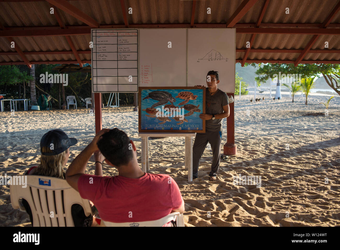 Turtles nesting site. Playa Mayto, Jalisco. Mexico Stock Photo - Alamy