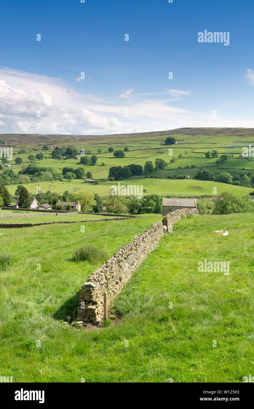 Countryside around Reeth in Swaledale Stock Photo - Alamy