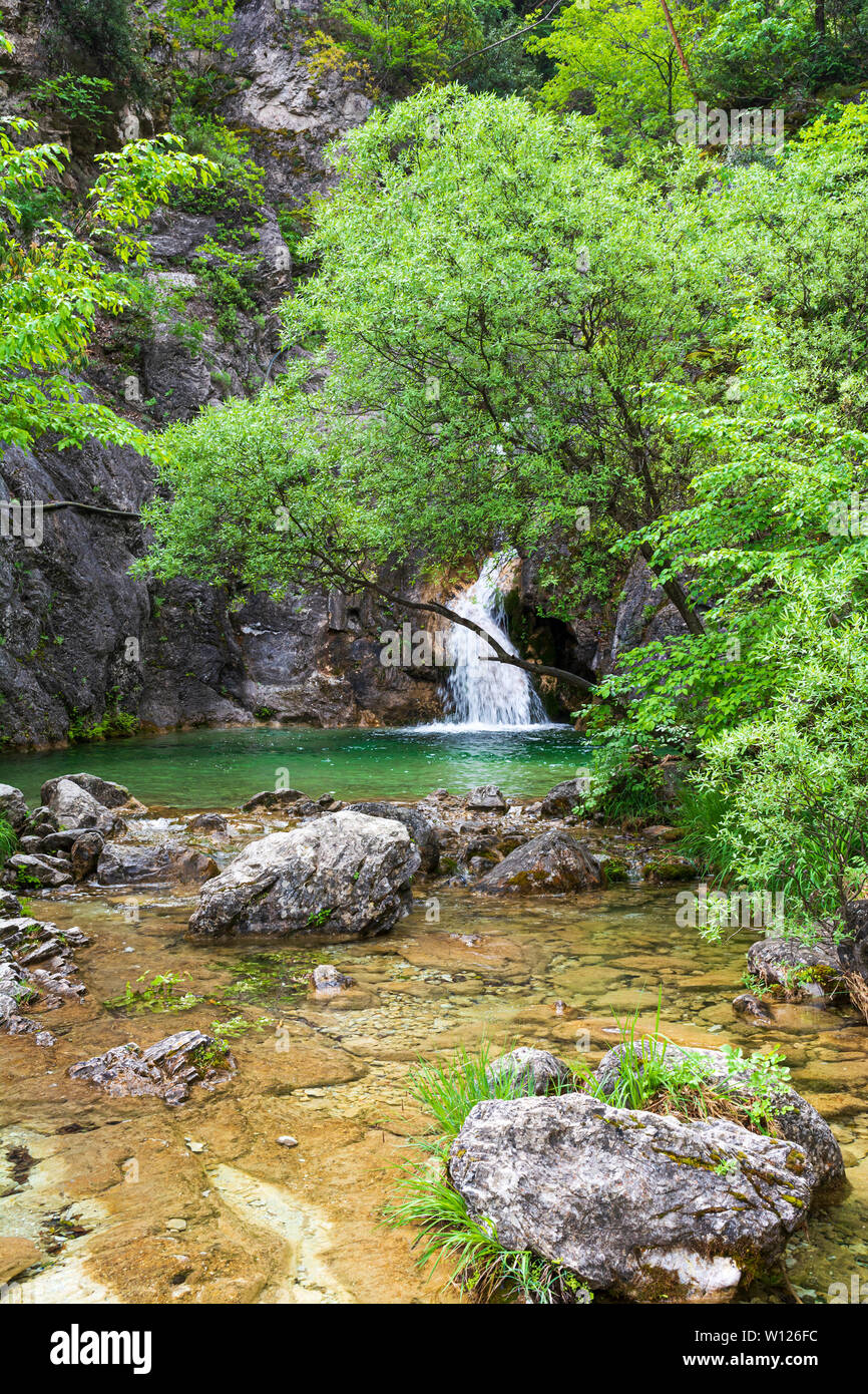 Forest waterfall at Olympus mountain, Greece Stock Photo - Alamy