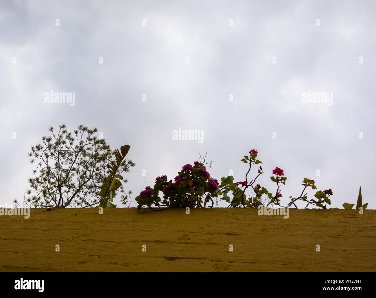 Hanging Over The Edge High Resolution Stock Photography and Images - Alamy