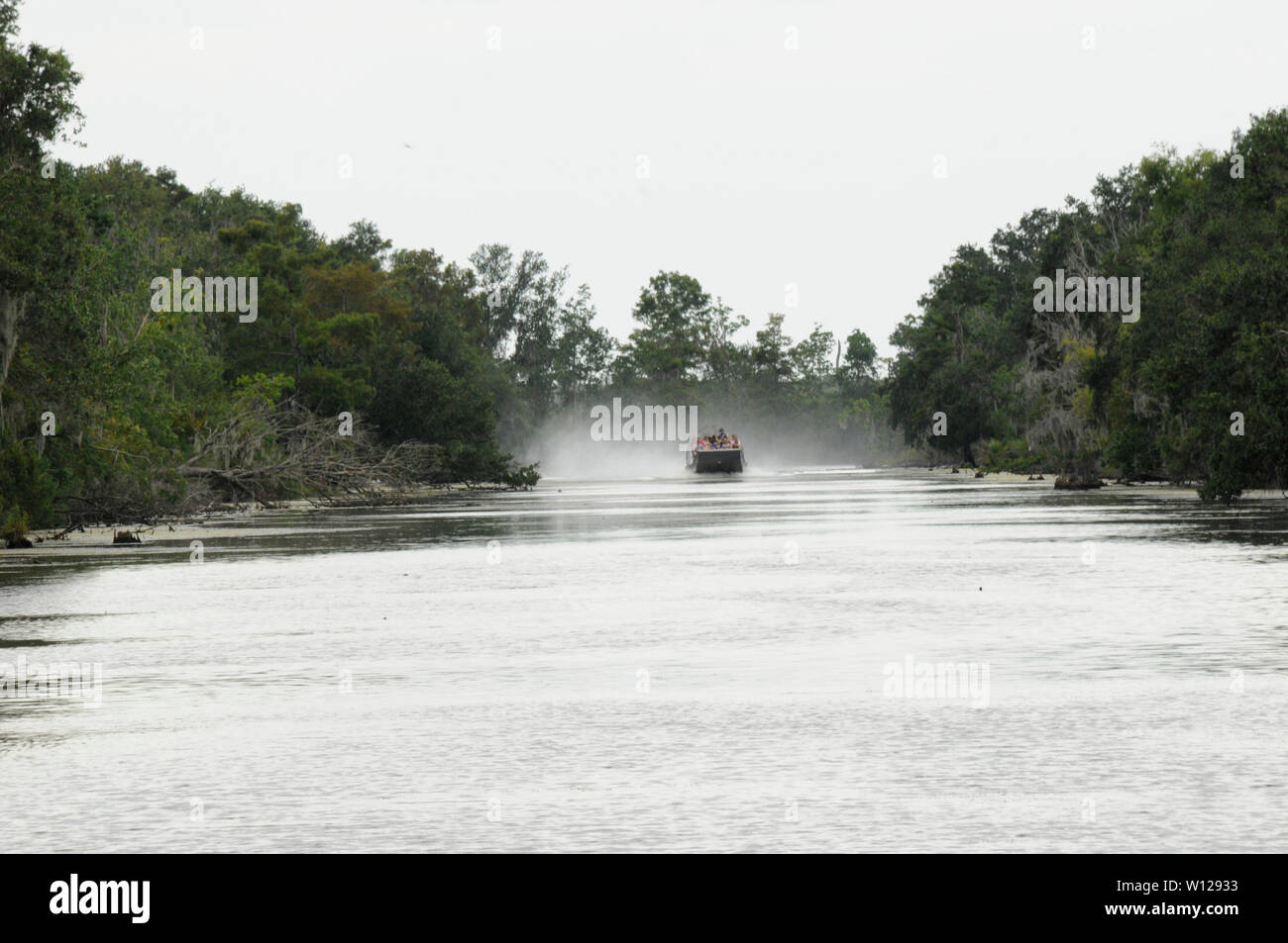 Airboat on swamp tour near New Orleans, Louisiana Stock Photo - Alamy