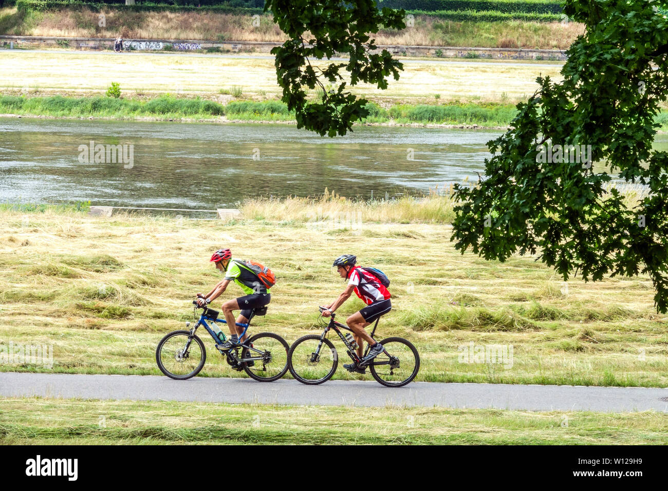 Two cyclists ride a bike along the Elbe River bike Dresden, Germany ...