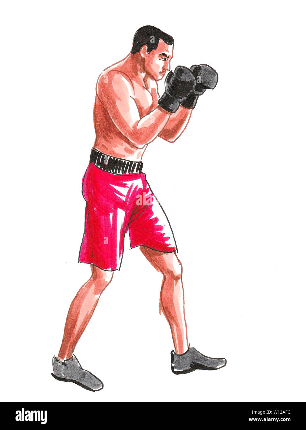 Boxing athlete. Ink and watercolor illustration Stock Photo - Alamy