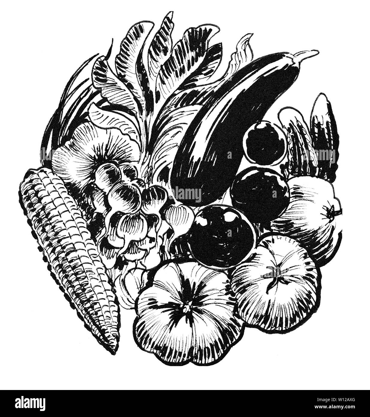 Bunch of vegetables. Ink black and white drawing Stock Photo - Alamy