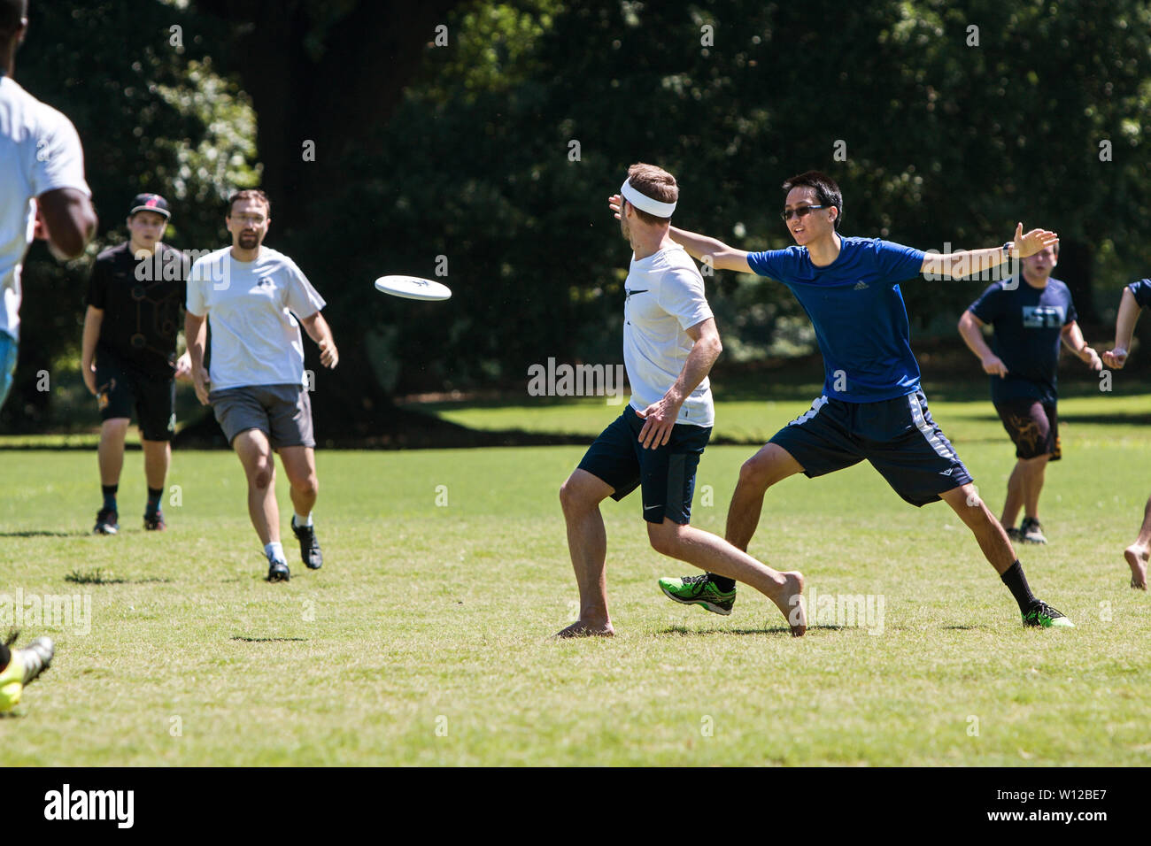 Throwing a frisbee field hi-res stock photography and images - Alamy