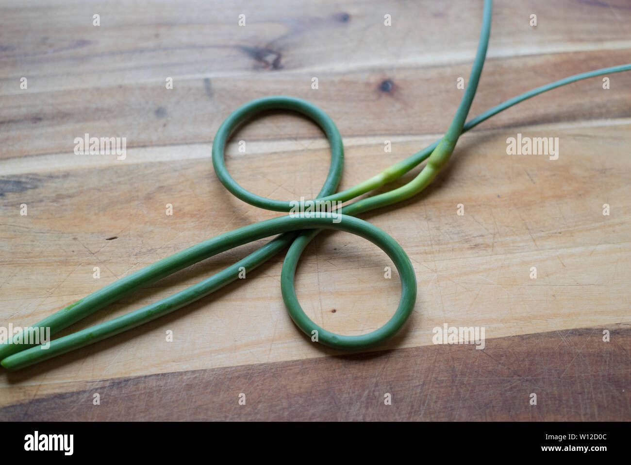 Garlic Scapes from Scottish Hardneck garlic Stock Photo - Alamy