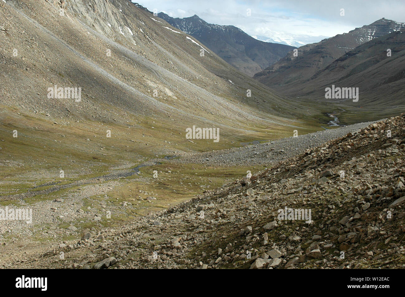 Green valley at Kailash mountain 5670 meters above sea level, Tibet ...