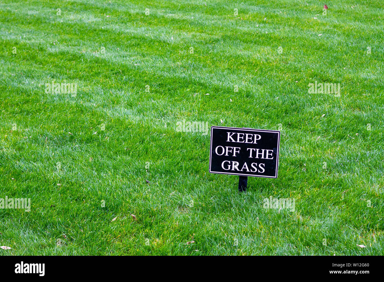 Sign saying keep off the grass in white on black on a beautifully mowed ...