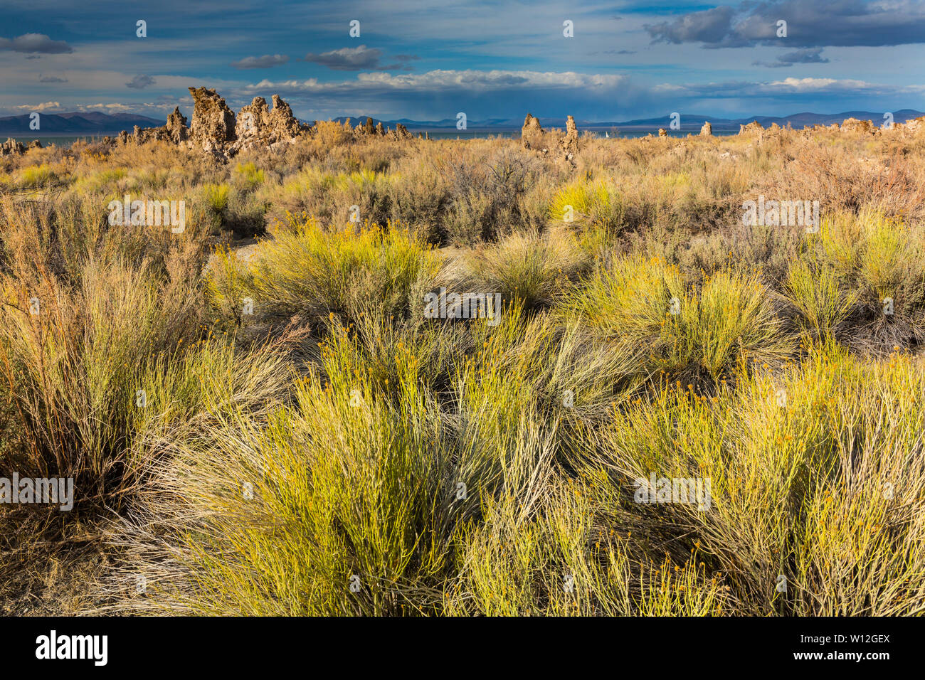 Mono Lake, Mono County, California, USA, America Stock Photo - Alamy