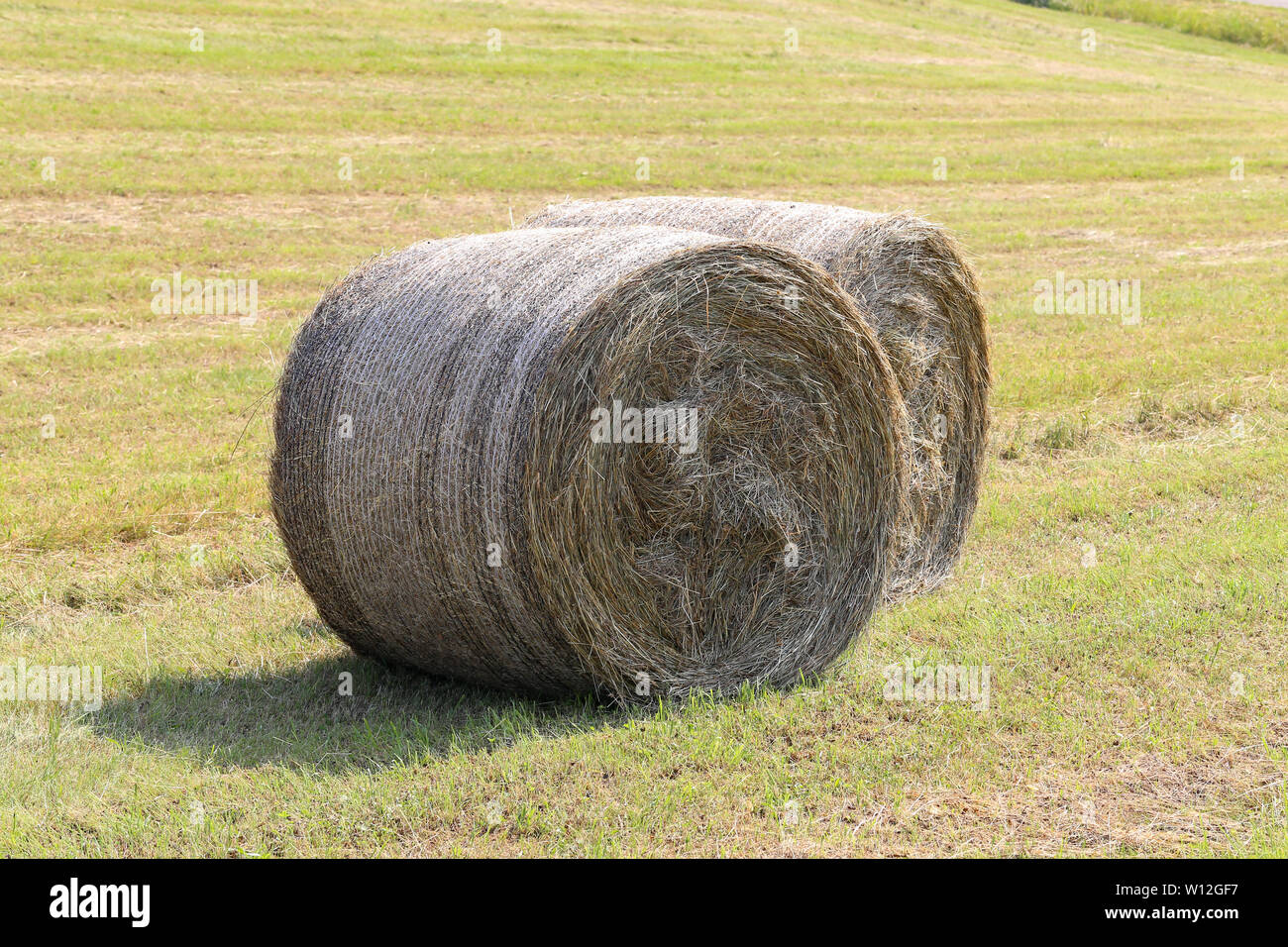 Rolls of haystack during day time Stock Photo - Alamy