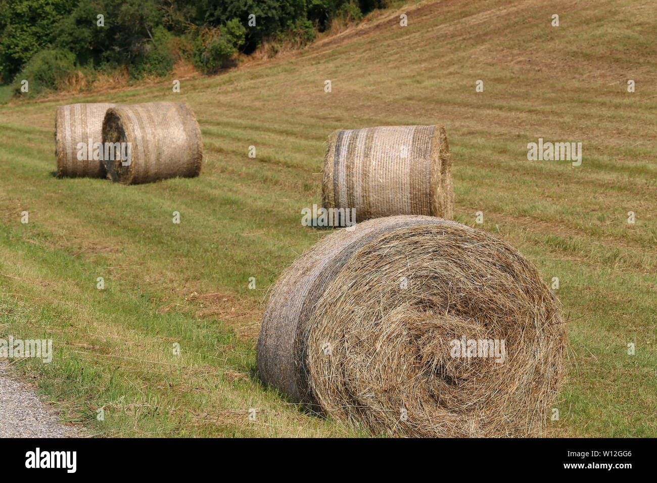 Rolls of haystack during day time Stock Photo - Alamy