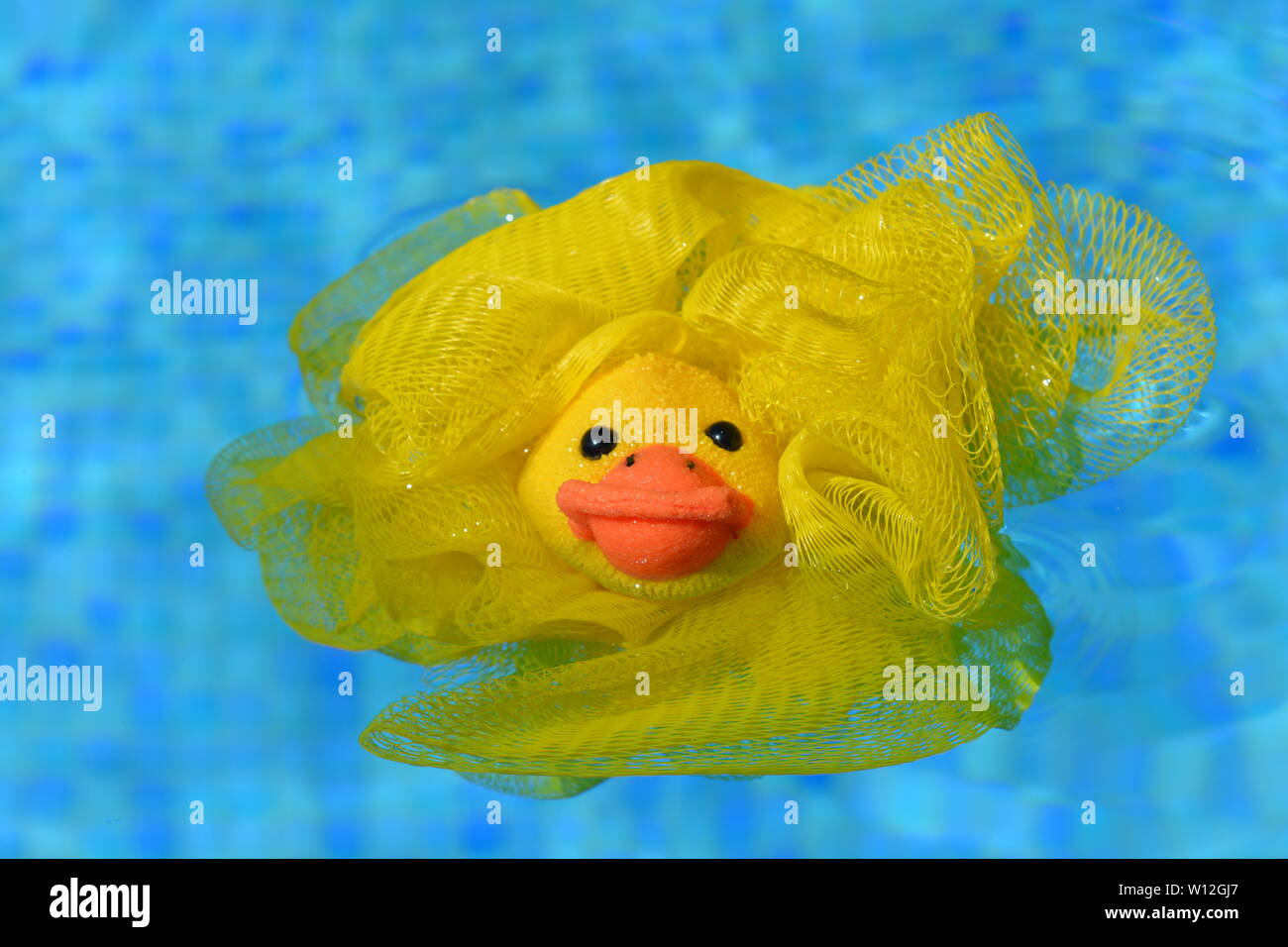 Toys in a swimming pool hi-res stock photography and images - Alamy