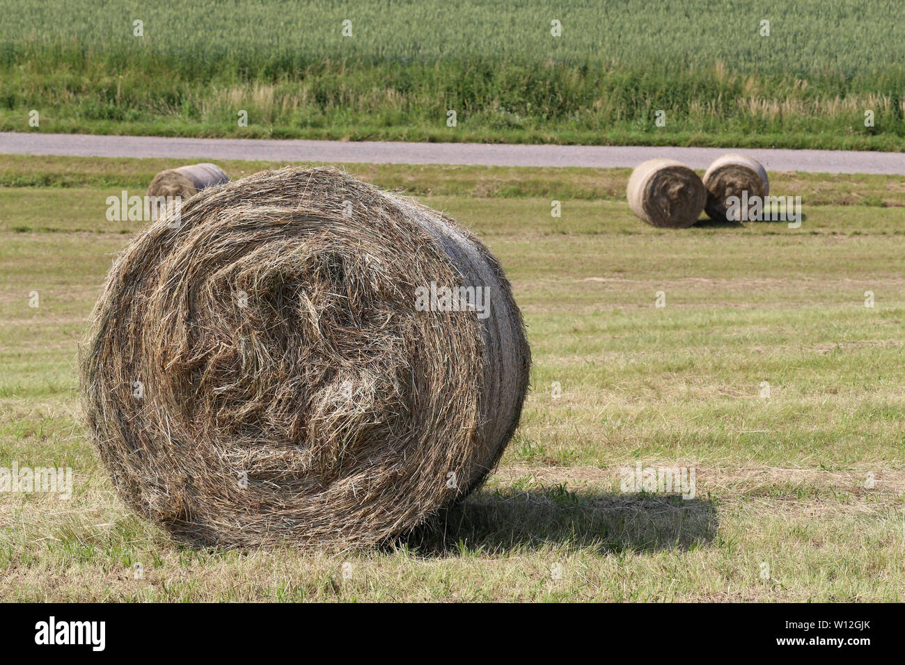 Rolls of haystack during day time Stock Photo - Alamy