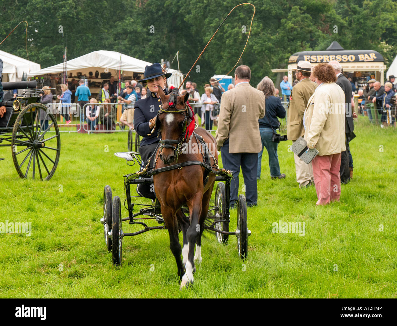 Carriage Driving High Resolution Stock Photography and Images - Alamy