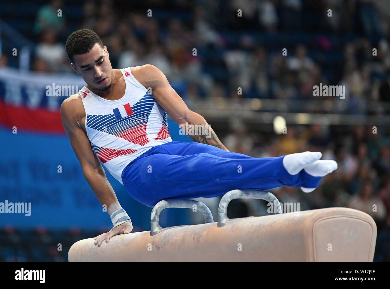 Frasca loris hi-res stock photography and images - Alamy