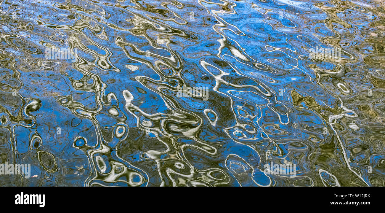 Forest reflections in a pond, Spring, Eastern United States, by ...