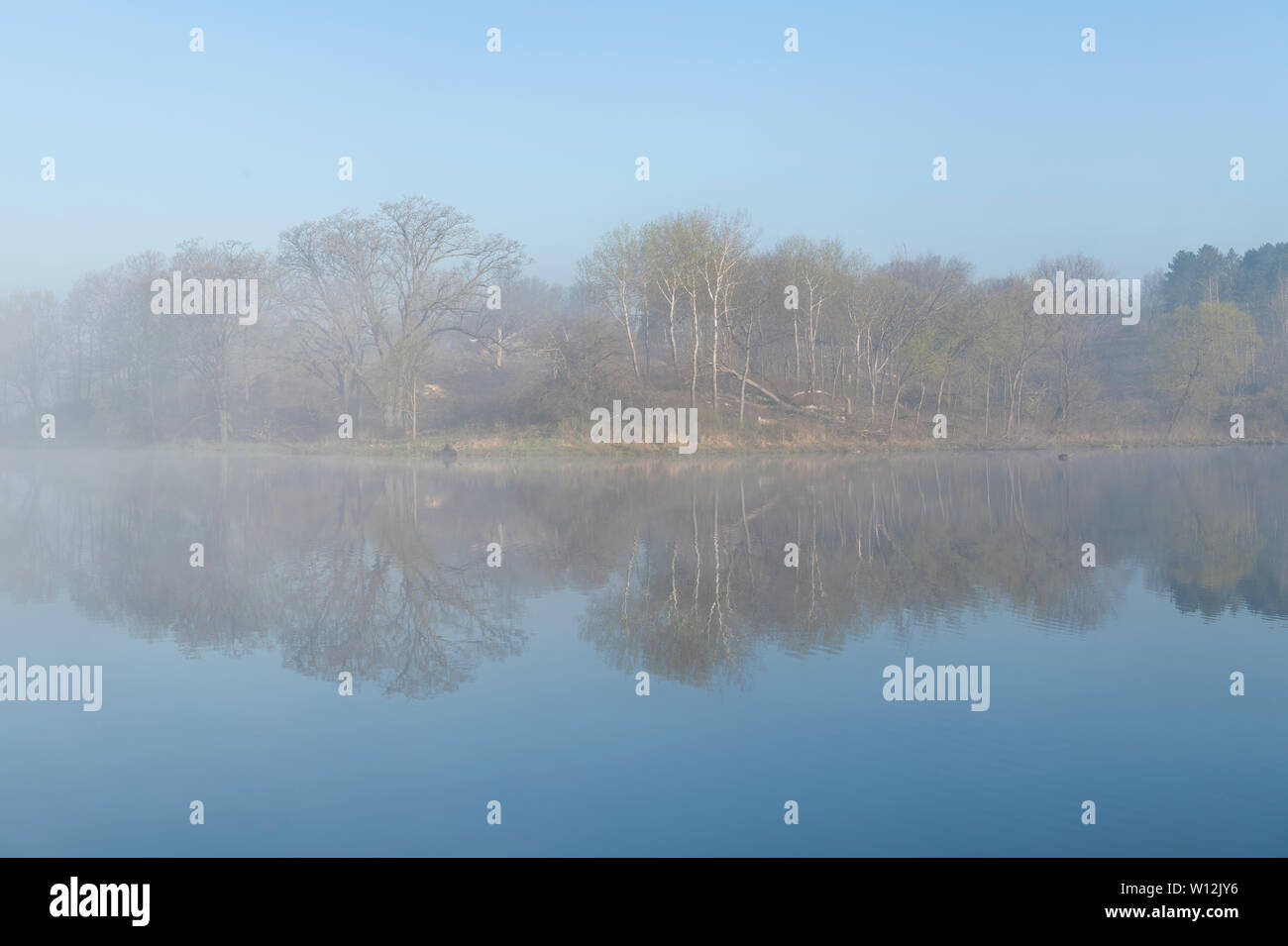 Fog over lake, Minnesota, May, USA, by Dominique Braud/Dembinsky Photo ...