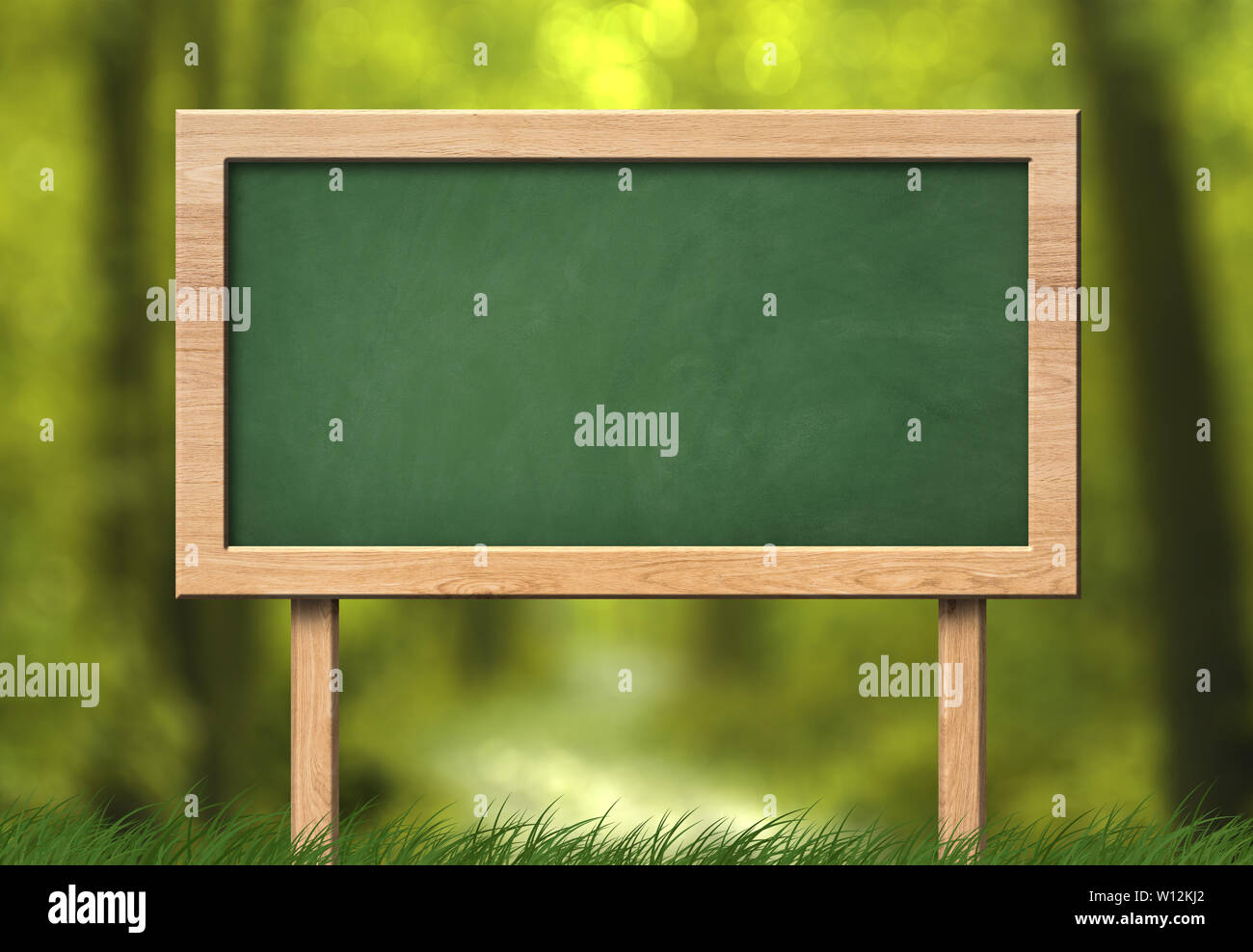 Large empty green blackboard with forest background Stock Photo - Alamy