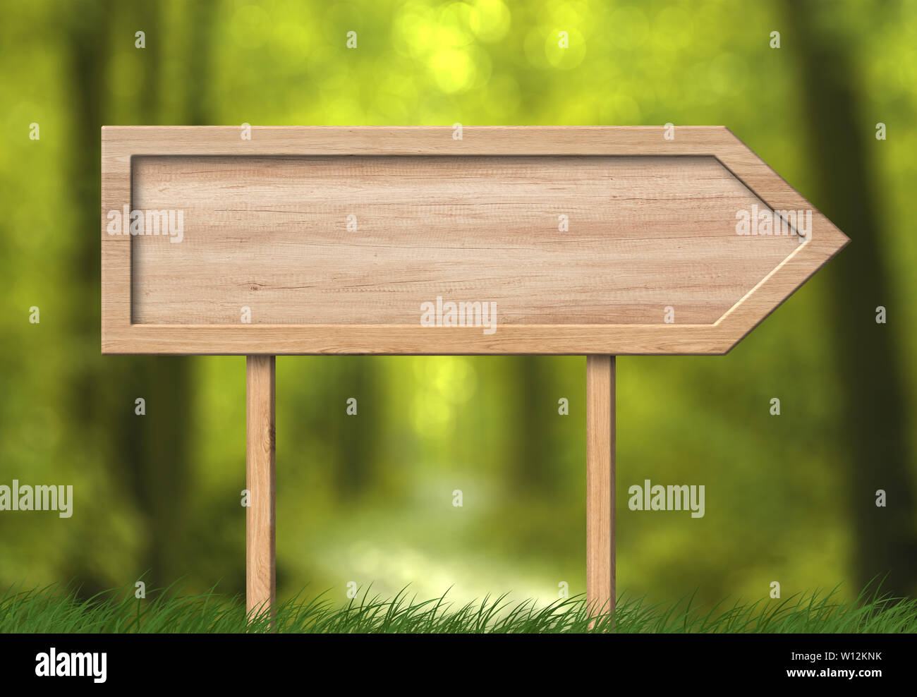 Empty arrow shaped signboard with forest background Stock Photo - Alamy