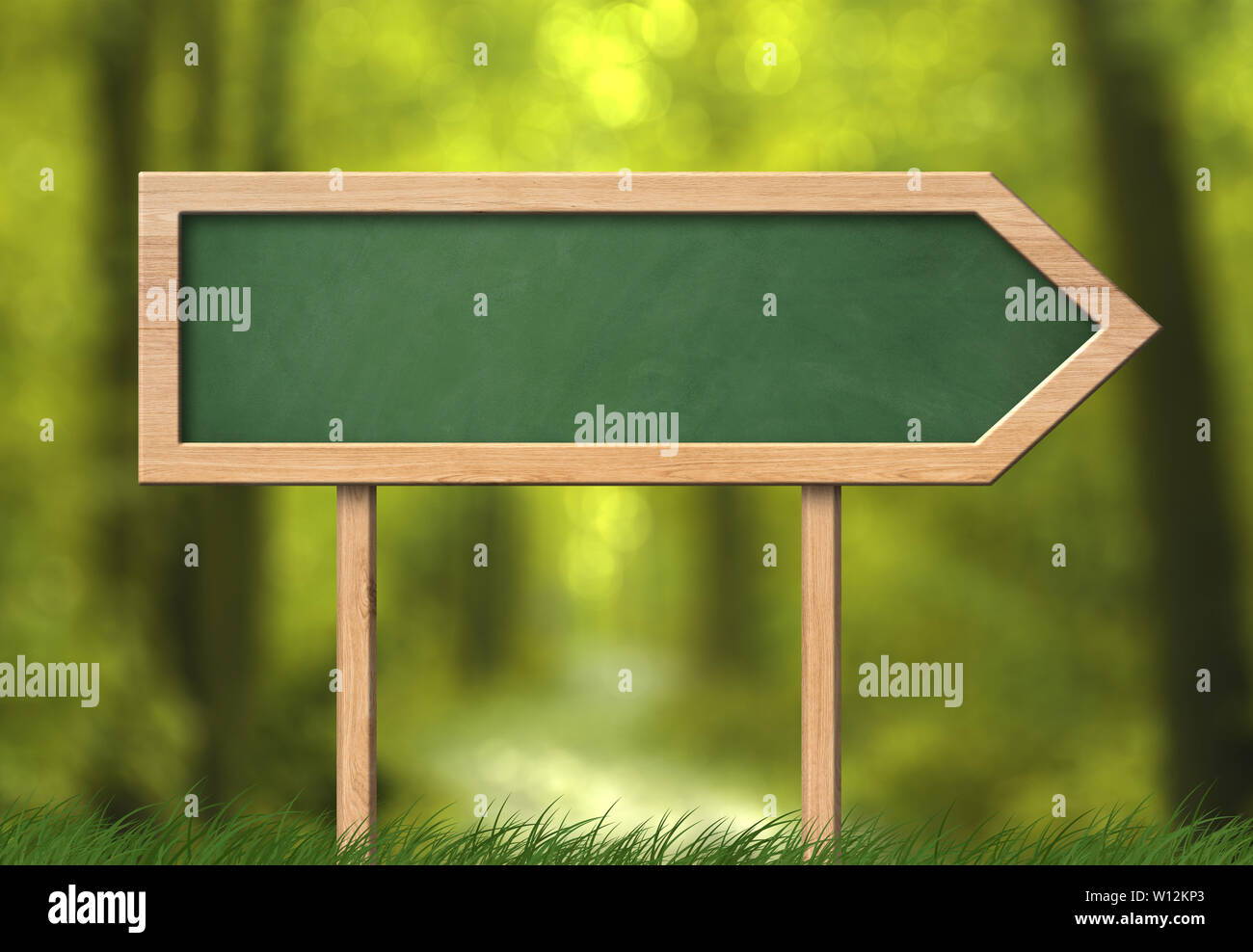 Empty arrow shaped green blackboard sign with forest background Stock ...