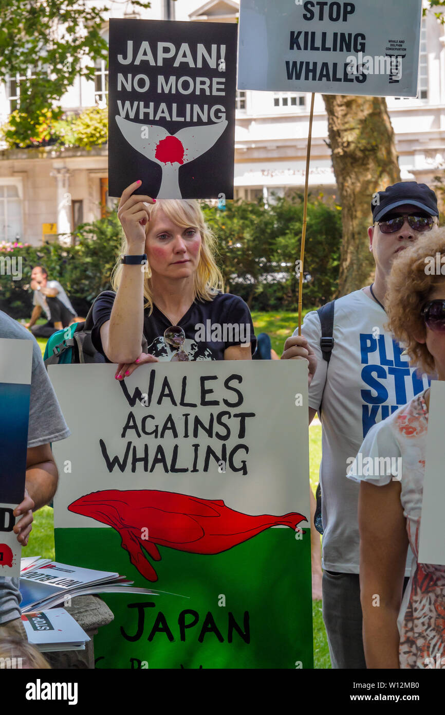 Save the whales protest hi-res stock photography and images - Alamy