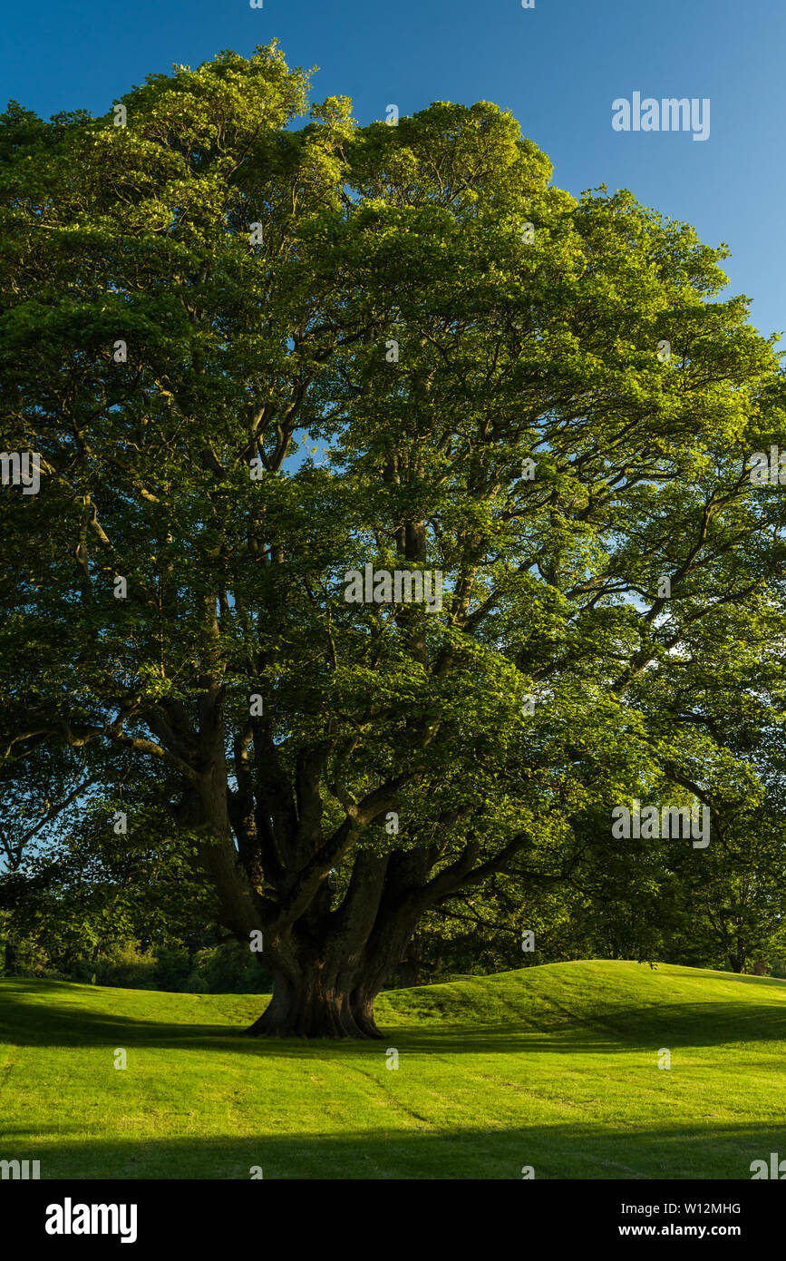 24 metres hi-res stock photography and images - Alamy