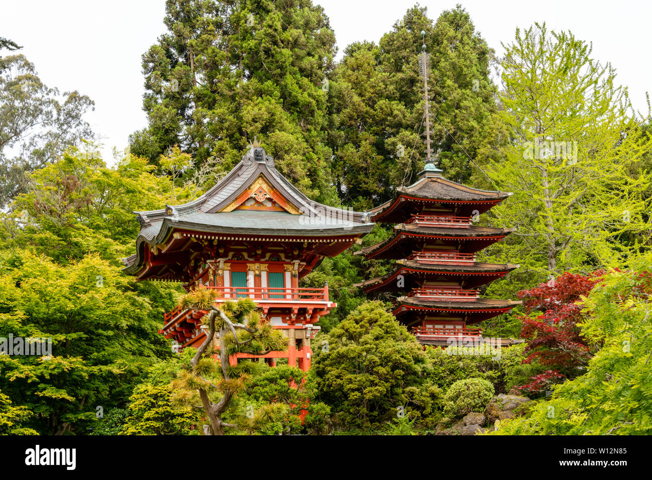 Golden Gate Park Japanese Tea Garden Pagoda & Temple Gate Stock Photo ...