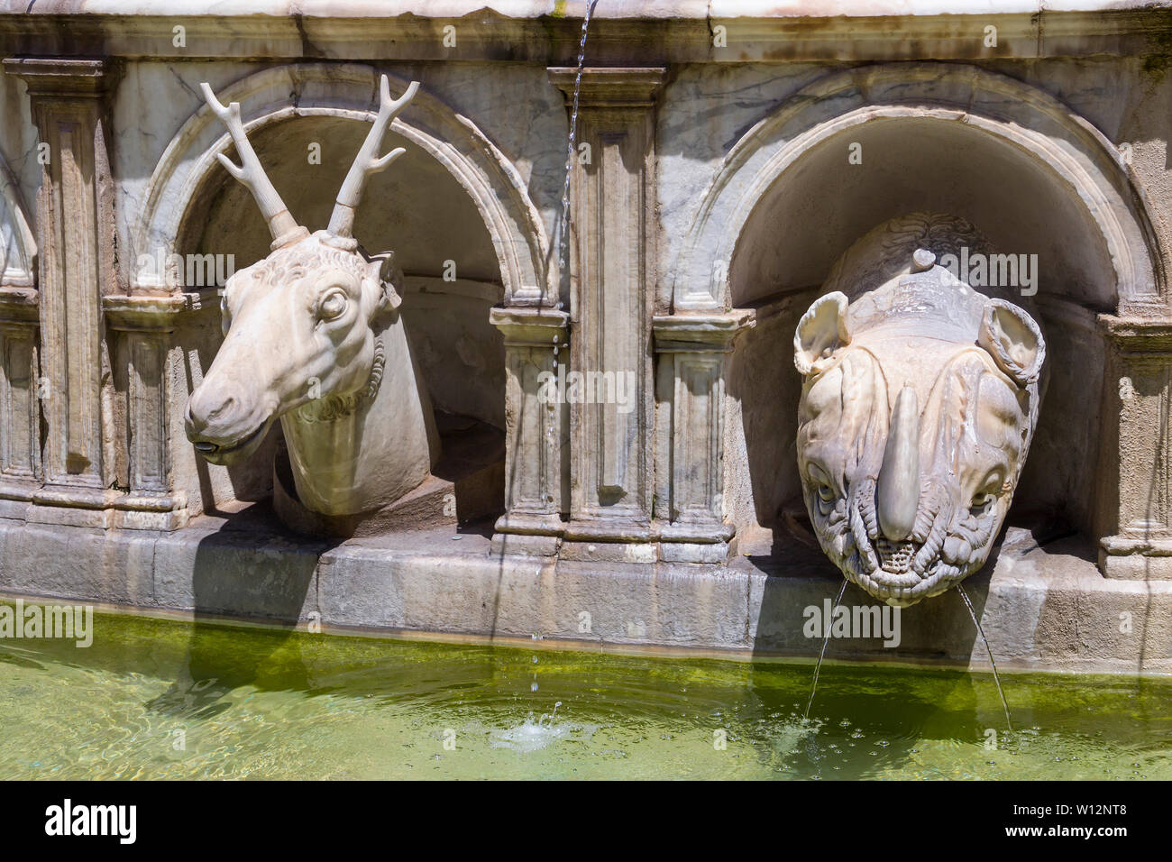 Marble statues of mythological animals on ancient Praetorian Fountain ...