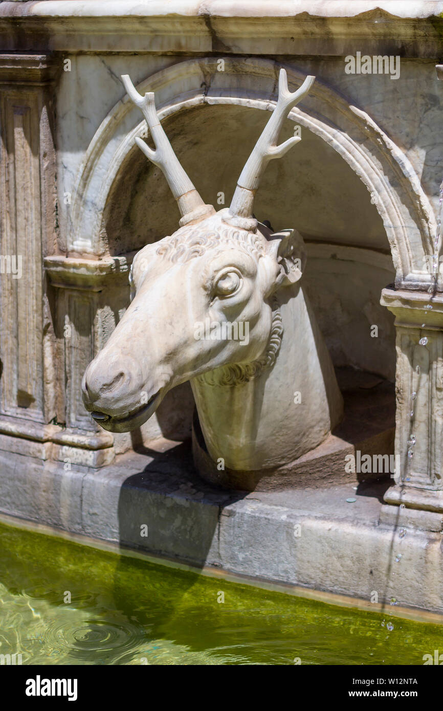 Marble statues of mythological animals on ancient Praetorian Fountain ...