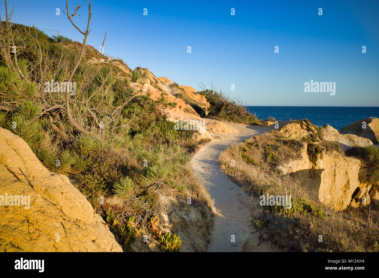 Walking path on cliff along Praia da Galé, Albufeira, Portugal Stock ...