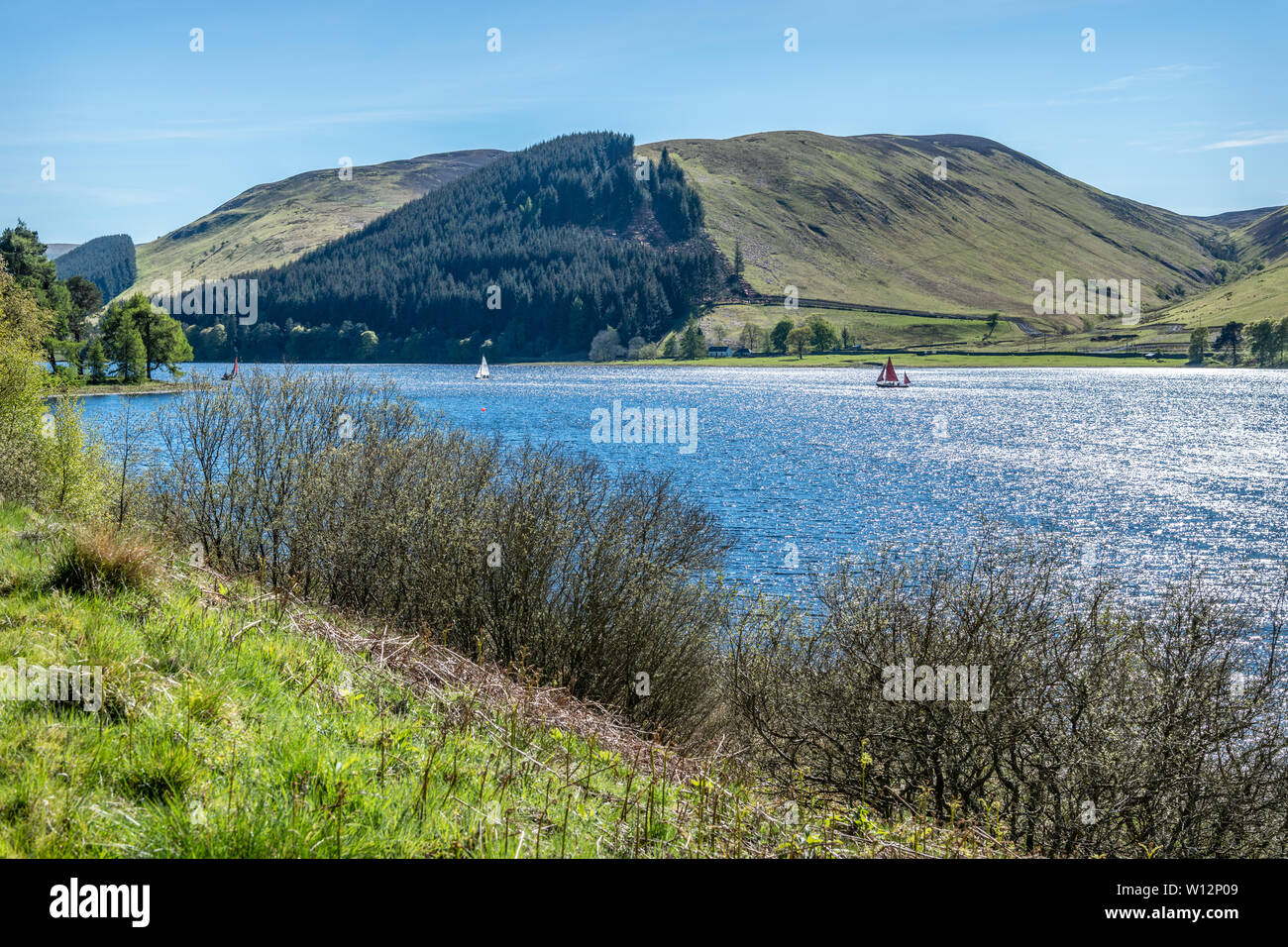 St Mary's Loch, Scottish Borders, Scotland Stock Photo - Alamy