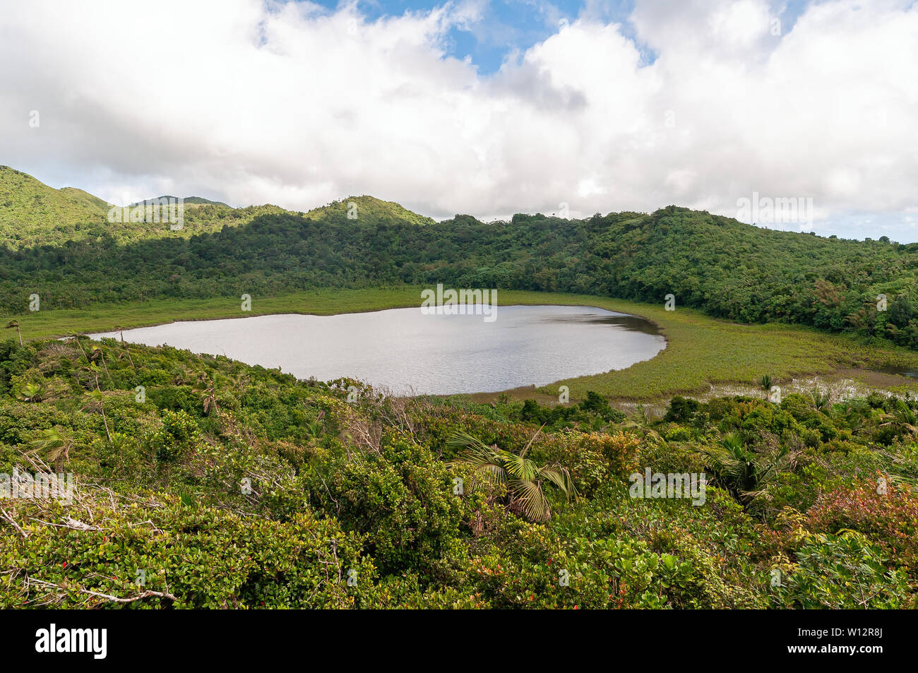 View of Grenada island - Grand Etang National Park - Grand Etang Lake ...