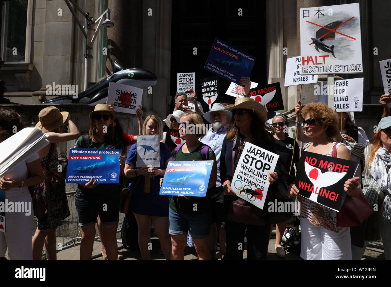 Anti whaling protest hi-res stock photography and images - Alamy