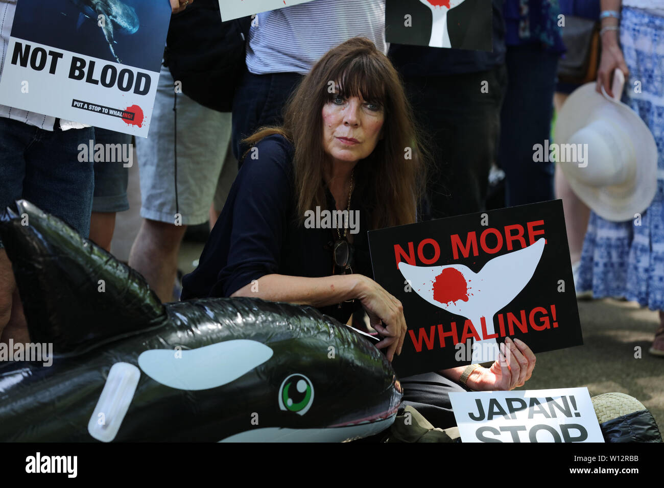 History of japanese whaling hi-res stock photography and images - Alamy