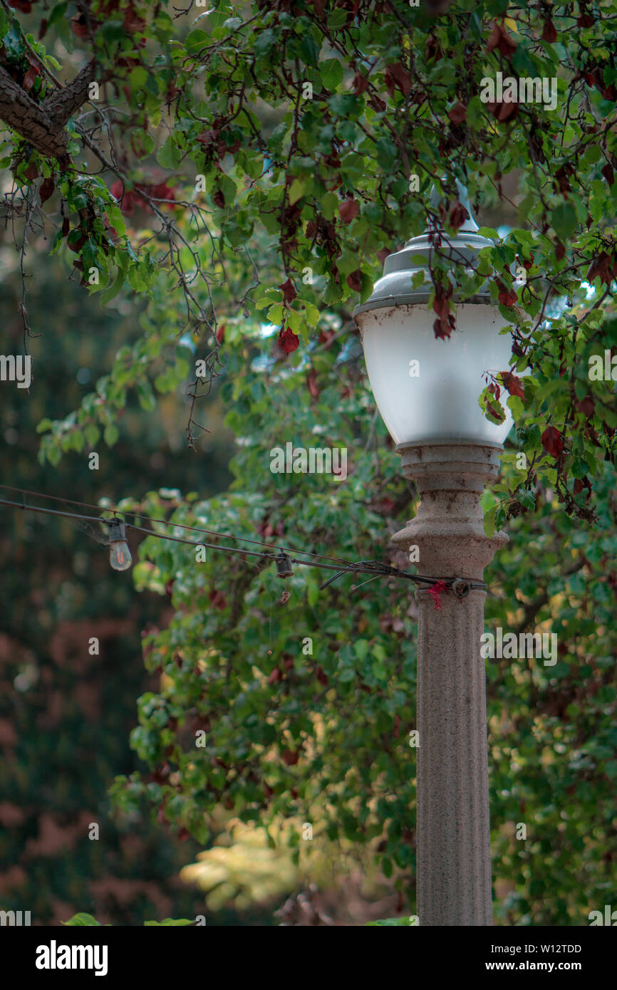 lamp post in the park during the day Stock Photo - Alamy