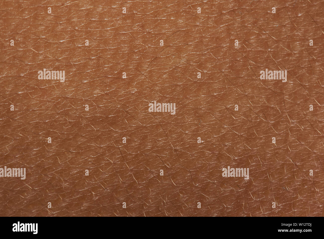 Pattern of clean brown human skin of asian man Stock Photo - Alamy