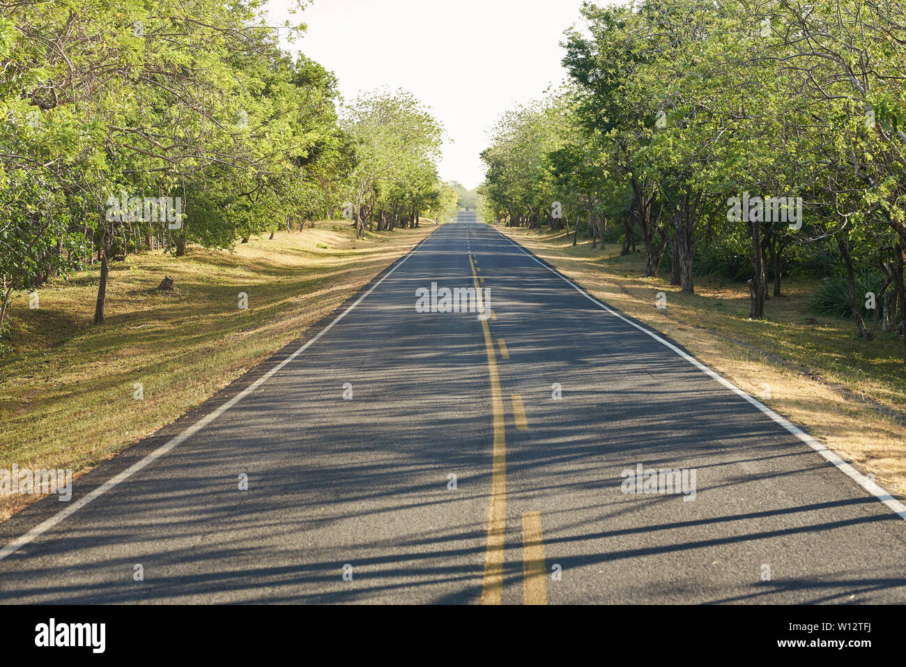 Sunny country landscape trees hi-res stock photography and images - Alamy