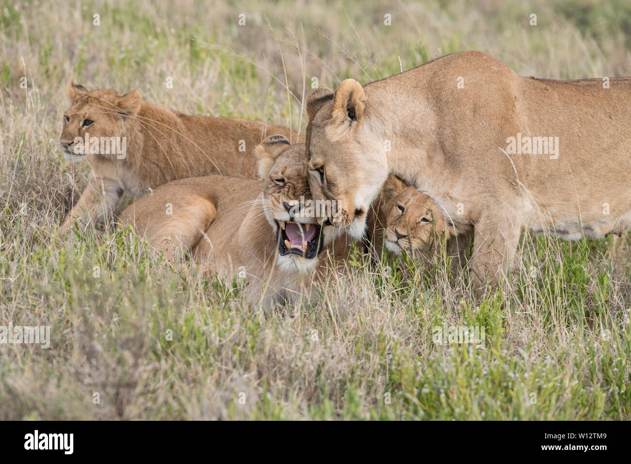 African greeting hi-res stock photography and images - Alamy