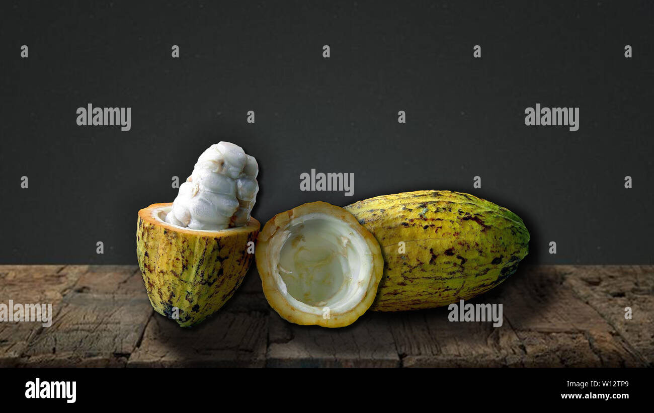 Brazil cacau brazil hi-res stock photography and images - Alamy